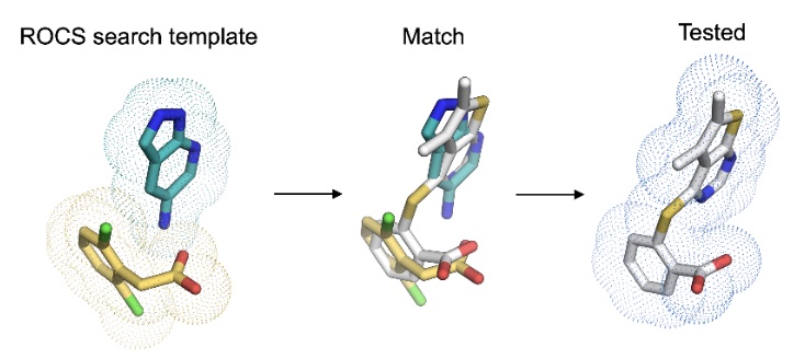 Publications from the Fraser Lab