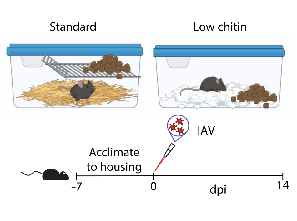 Publications from the Fraser Lab
